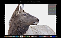 Polarr Photo Editor